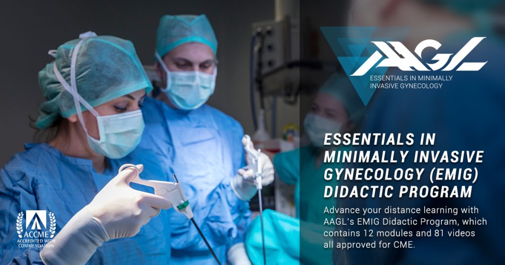 EMIG: Continued Achievements - NewsScope